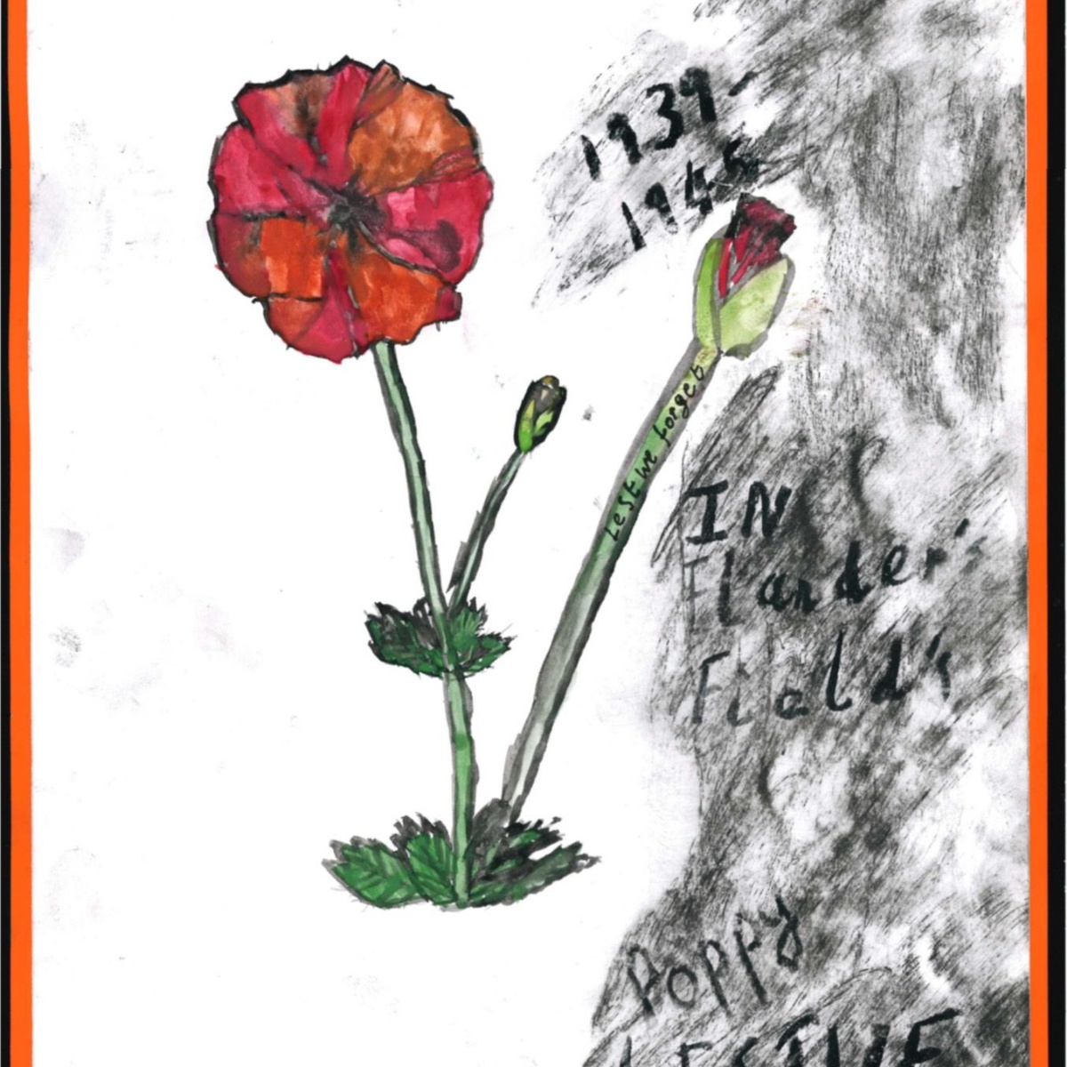 Willingham Primary School - Year 5/6: Poppy Project
